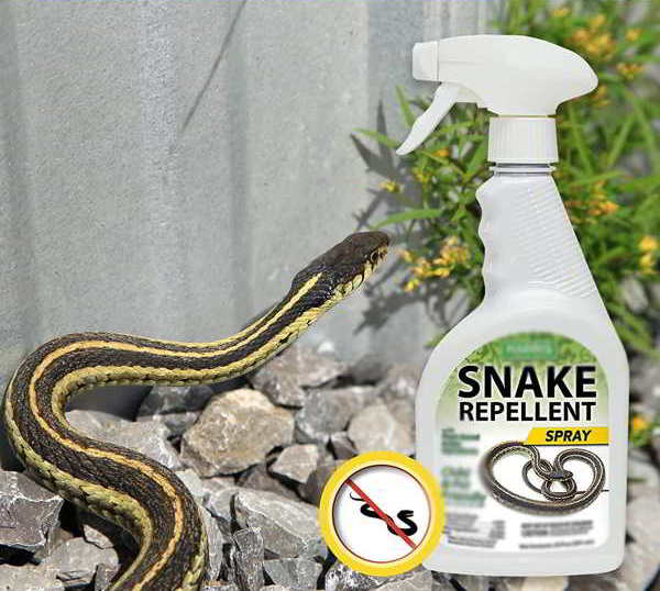 Still Using Only Snake Repellent Spray? Try Sonic Repellent Instead ...